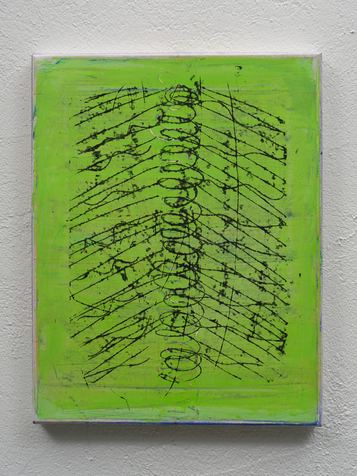 Capital Group - Anoushka Akel